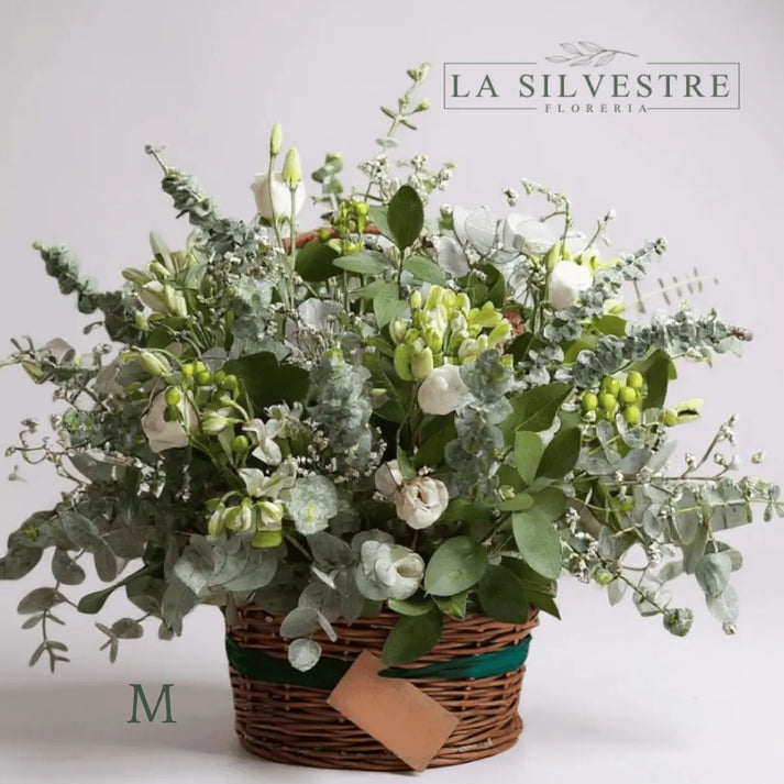 CANASTO PURA| Flores a domicilio en Santiago - Florería La Silvestre – Florería la Silvestre
